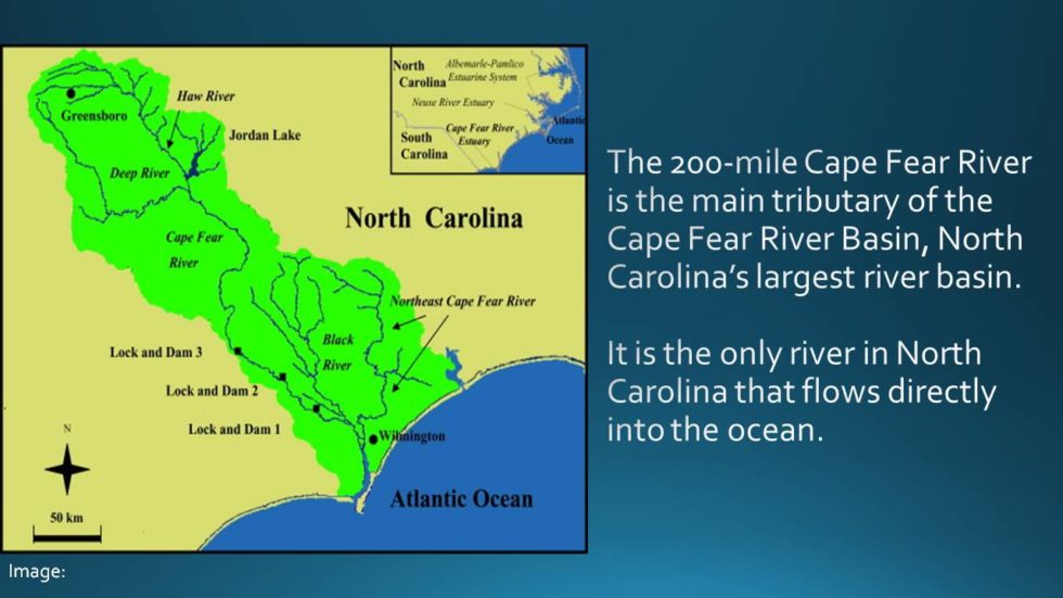 The River | Cape Fear River Watch