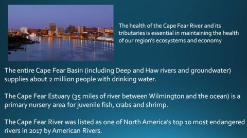 The River | Cape Fear River Watch