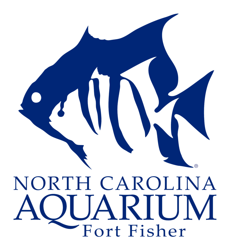 NCAFF & CFRW Cleanup (a 2023 Party for the Planet Event) - Cape Fear ...